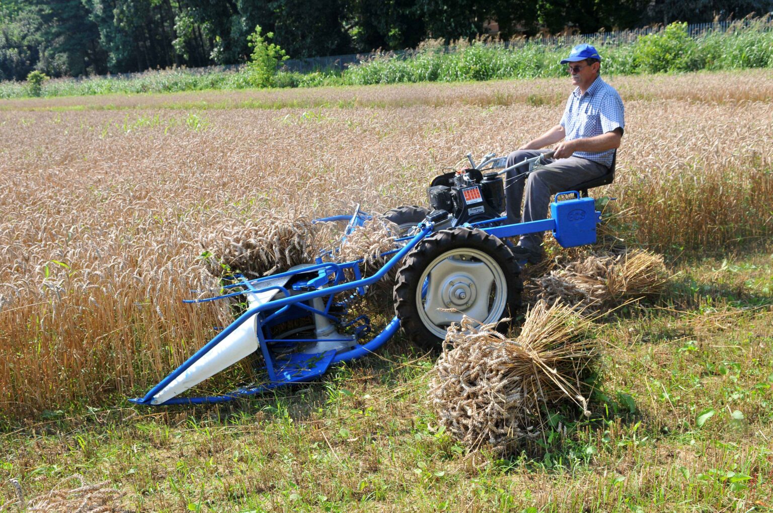 622 Reaper-binder - Bcs